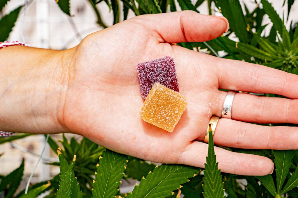 How Long Until My Edible Takes Effect? - Thrive Dispensary Cannabis ...